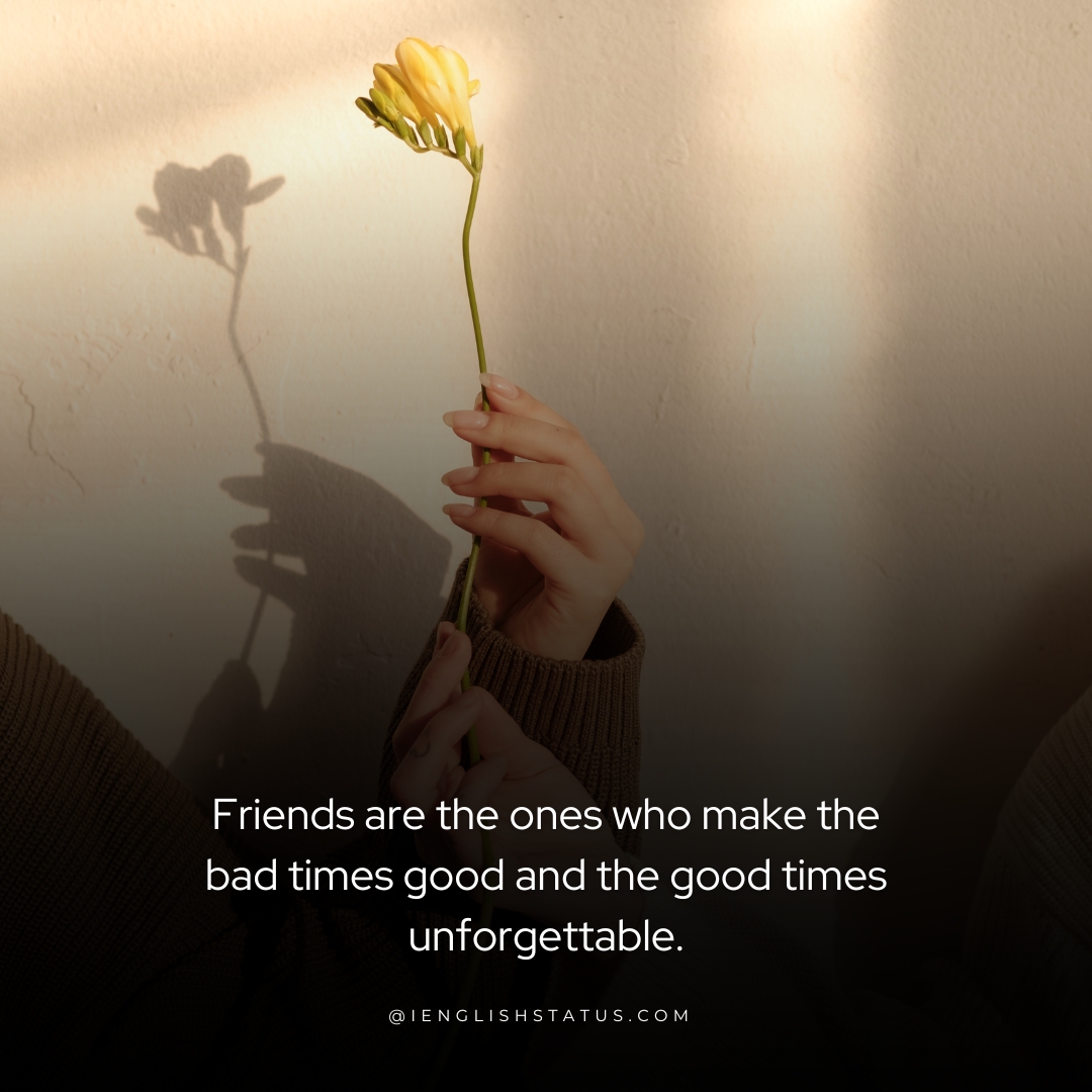 1000+ TOP Friendship Status for Whatsapp in English 2023 - iEnglish Status