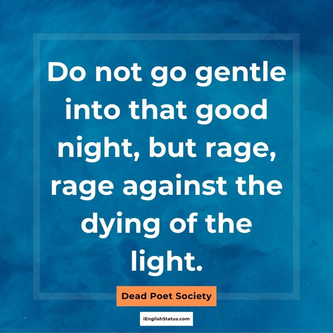TOP 200+ Dead Poets Society Quotes That Will Change the Way You Think ...