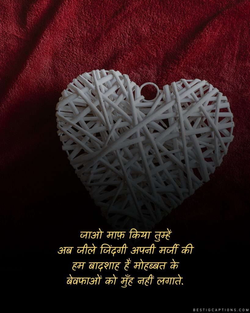 TOP 1000+ Best Love Shayari in Hindi with Images - iEnglish Status