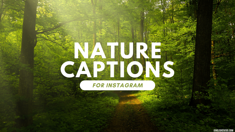 Nature Captions for Instagram for Expressing Your Love for Nature ...