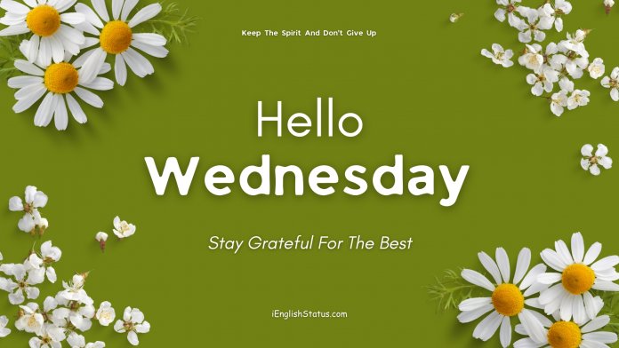 TOP 500+ Wednesday Quotes to Help You Get Through the Week - iEnglish ...