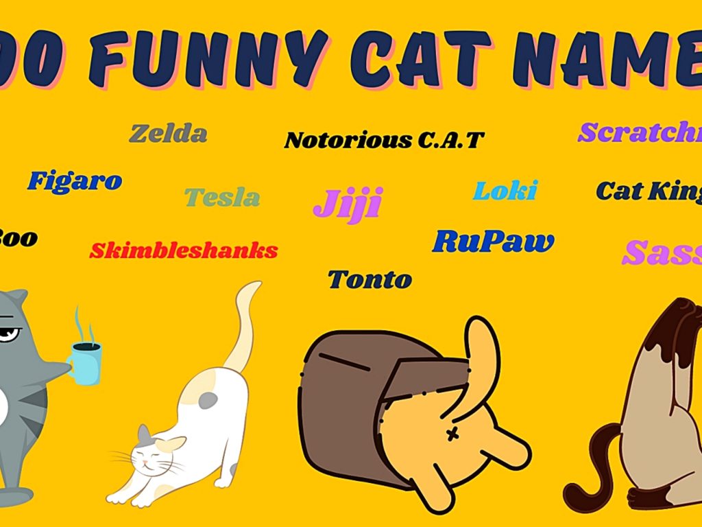 Get Creative with These Dirty Names Puns for Fun - iEnglish Status