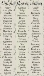 Funny Fake Names That Are Way Too Good to Be Real - iEnglish Status