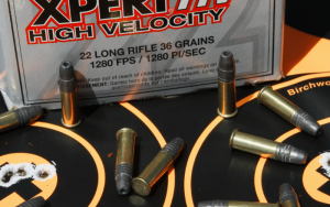 How Fast Do Bullets Travel in MPH? Full Breakdown - iEnglish Status