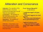 Consonance Literary Definition: Crafting Musicality in Poetry and Prose ...
